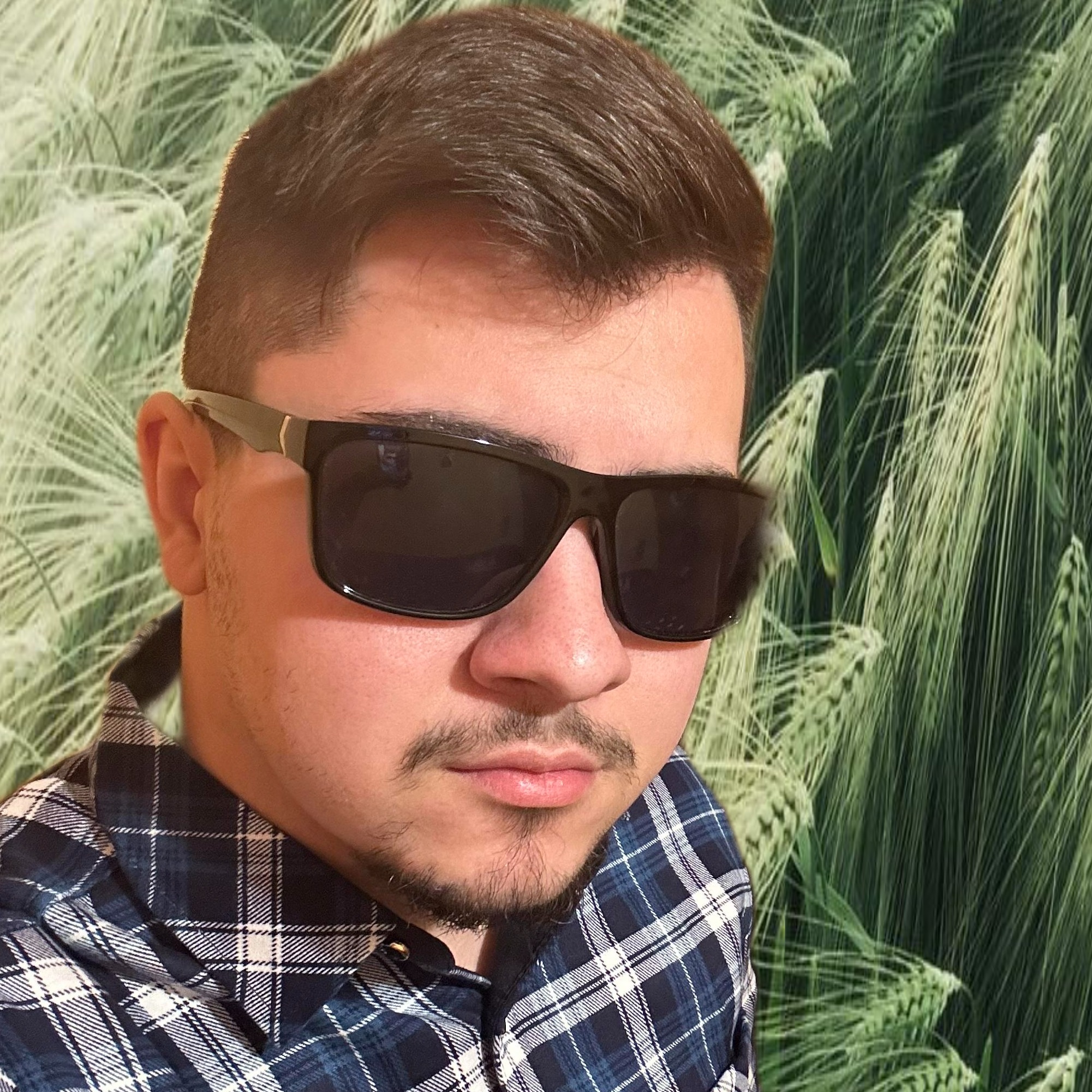 Robert Leca's Personal Website